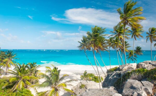 Highlights auf Barbados 🏝️ Das Beste für Deinen Urlaub