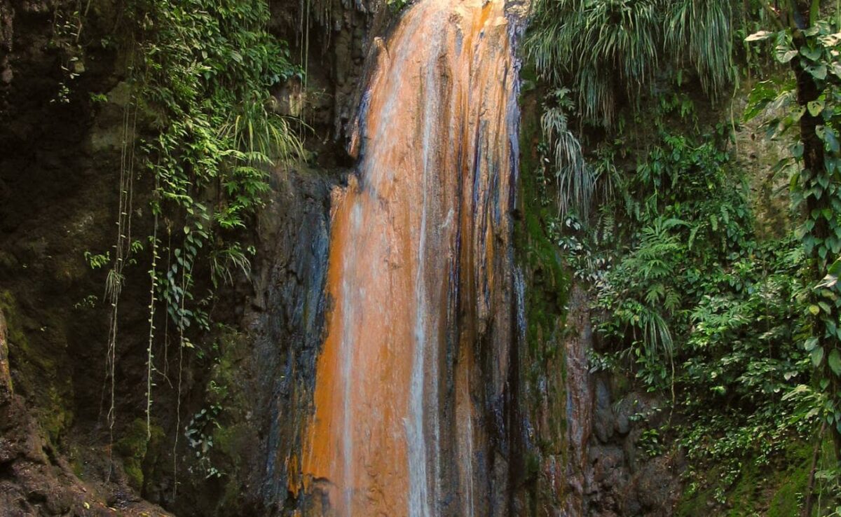 Diamond Falls Botanical Gardens 💦 Naturwunder auf St. Lucia
