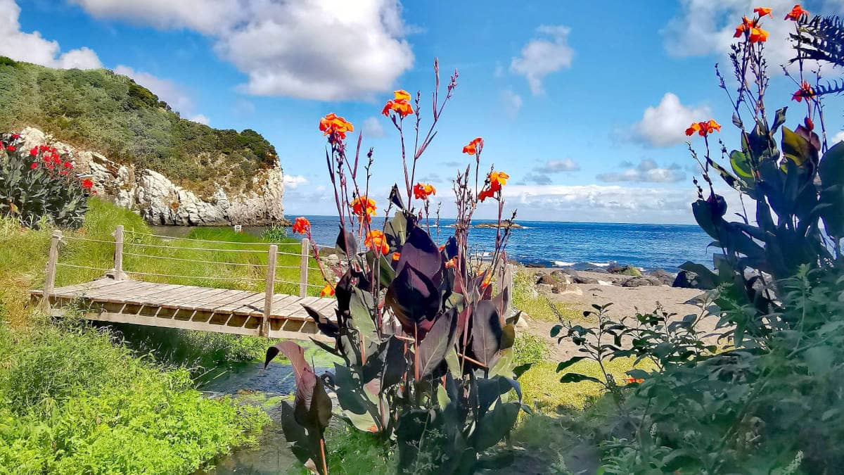 Ilhas de Bruma Tours 🚌 Abenteuer auf den Azoren